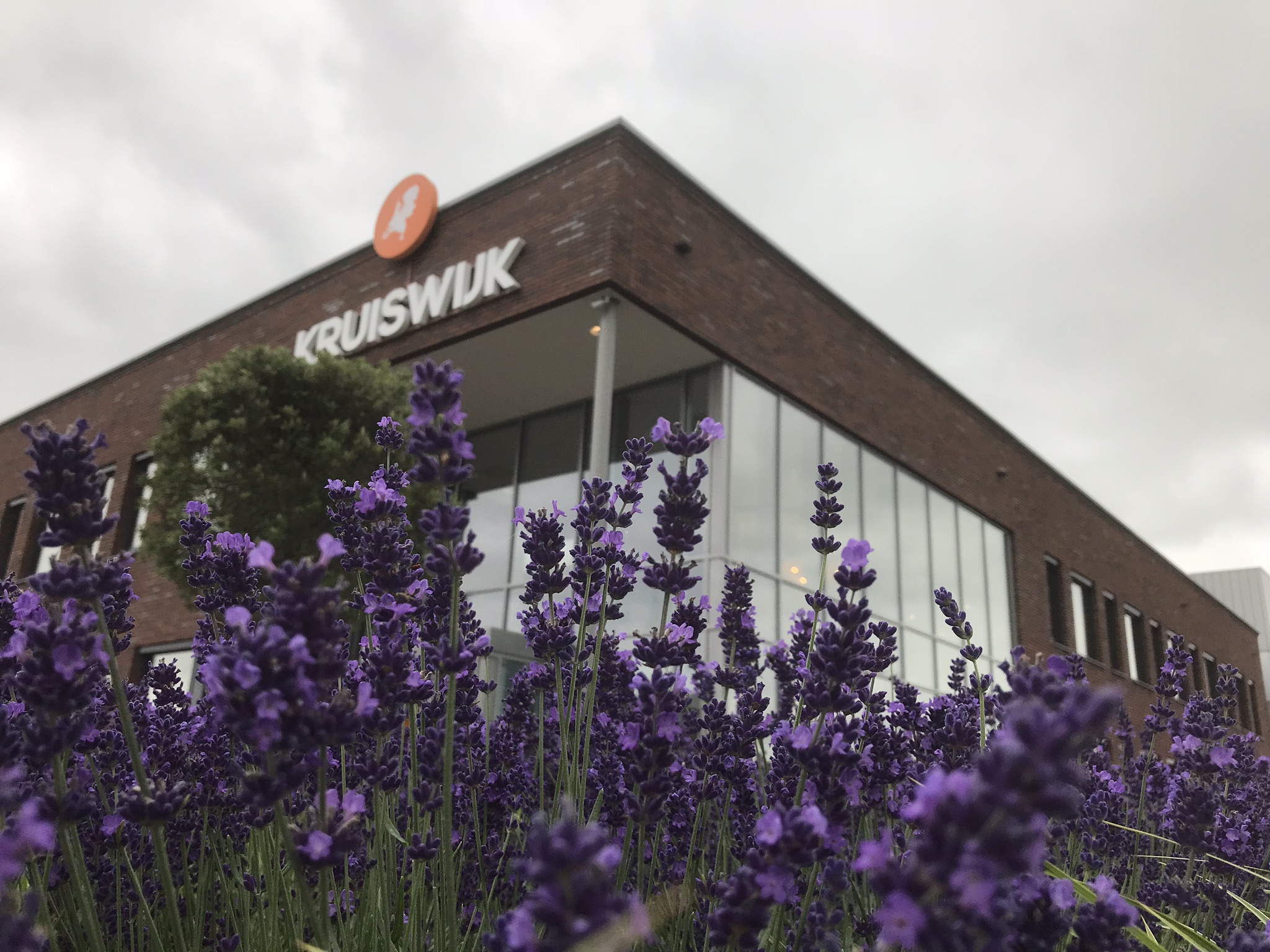 Kruiswijk - Het Groene Hart Ziekenhuis